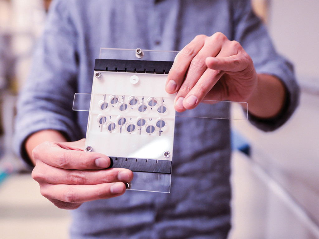 Faculty Spotlight: How UCR’s Adams lab is studying the effects of ETH ...