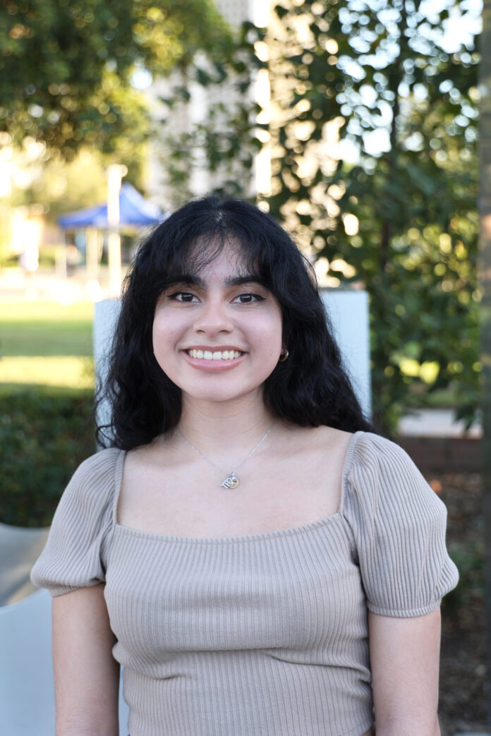 The Staff - Highlander