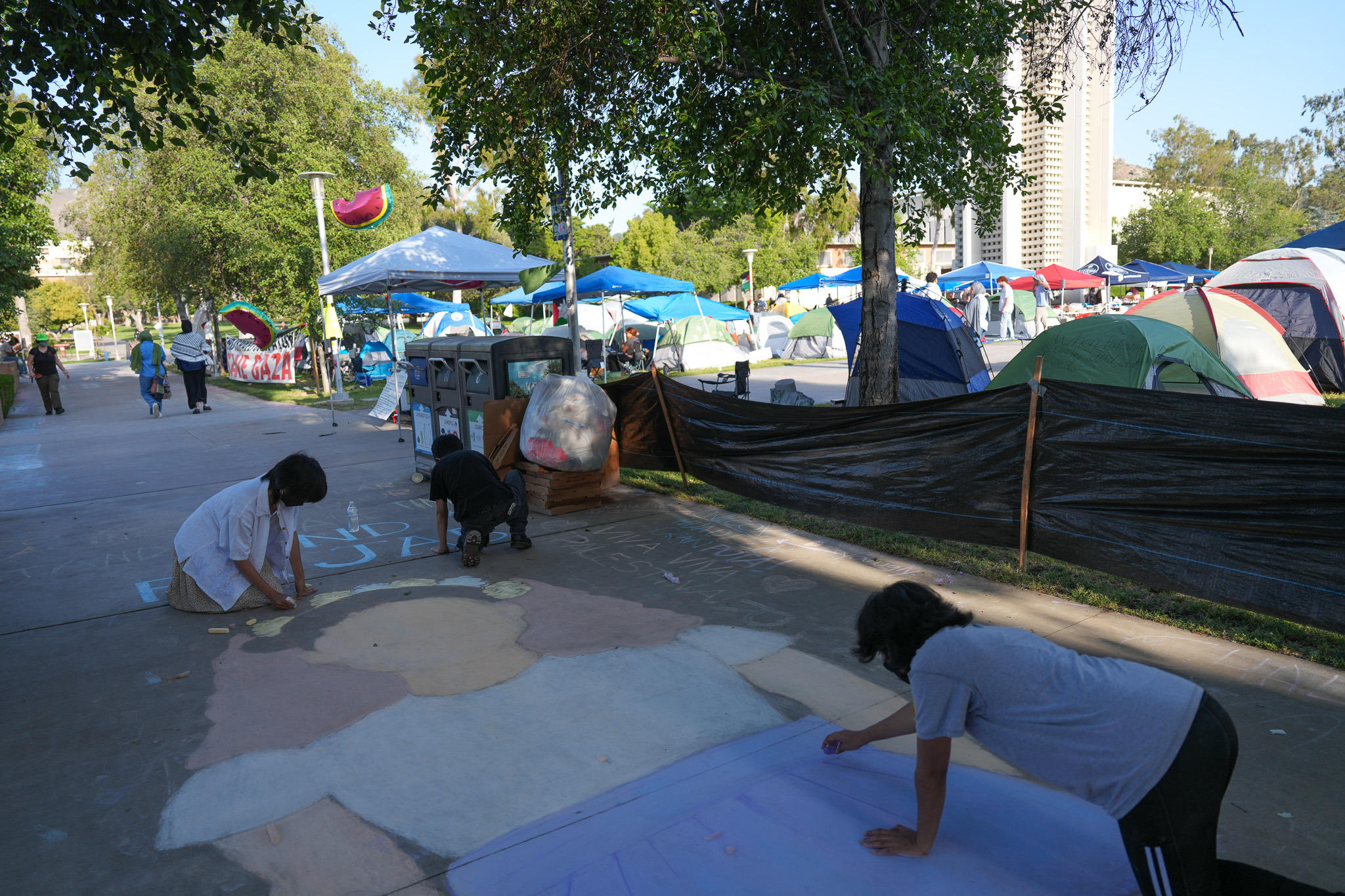 Policy updates on campus regarding expressions of protest - The ...