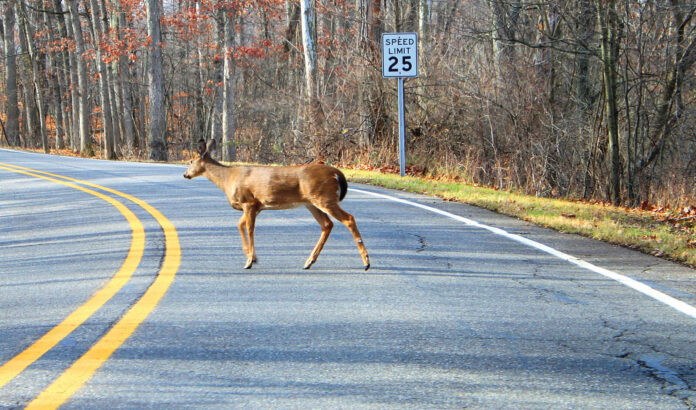 Long-awaited Mid County Parkway project receives new funding - The ...