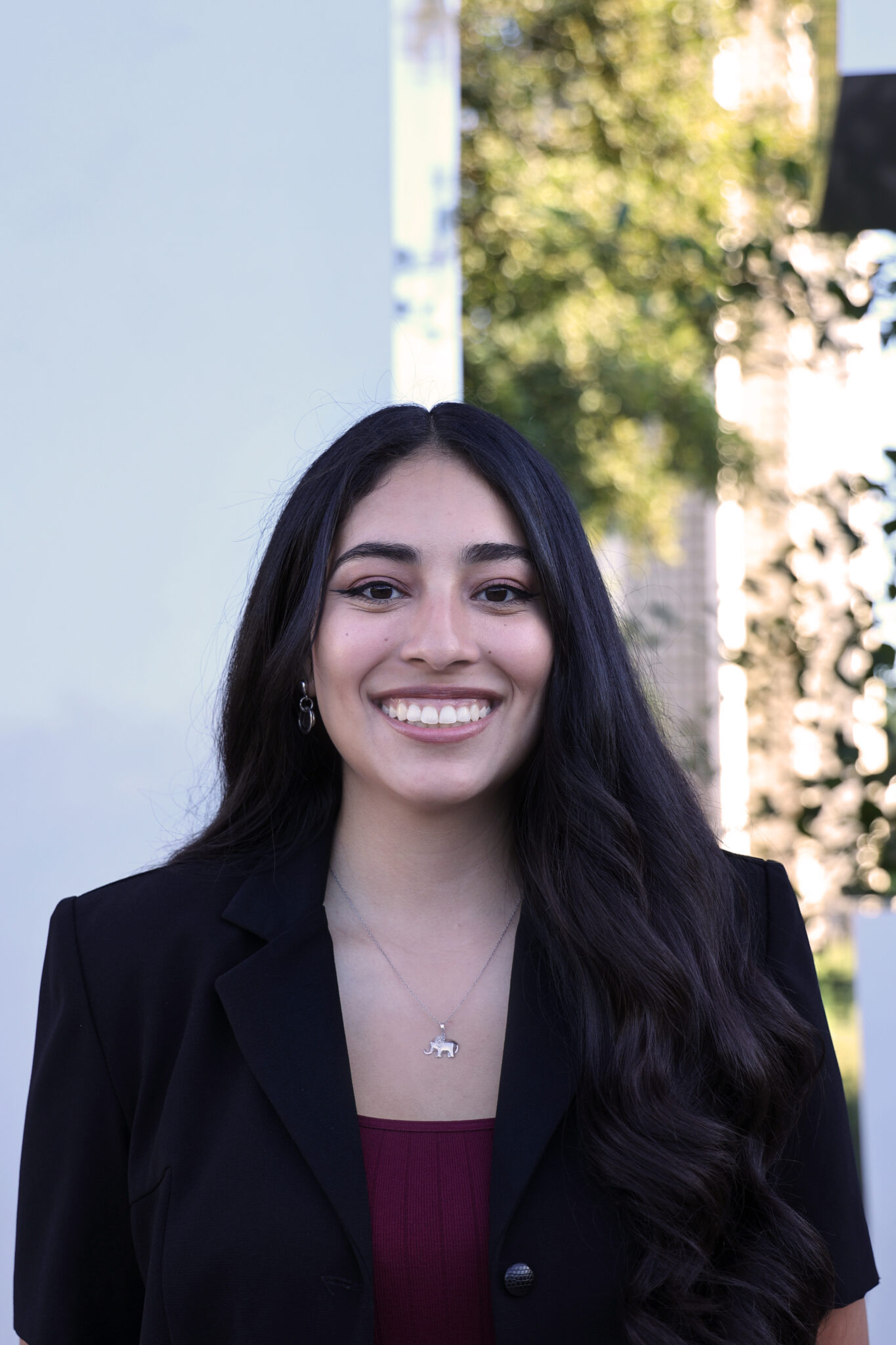 So long and farewell to The Highlander - Highlander