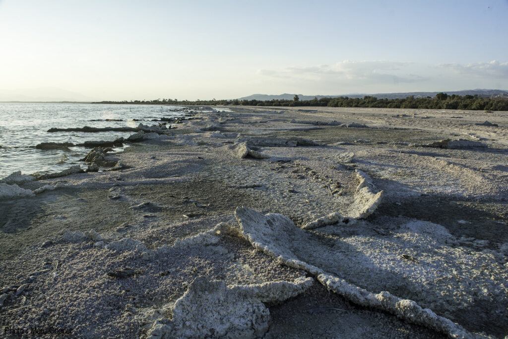 New research reevaluates real causes of Salton Sea shrinkage - Highlander