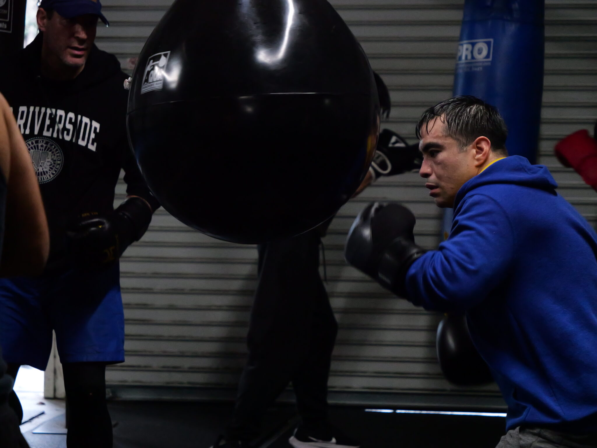 Knocking out the competition one punch at a time - Highlander