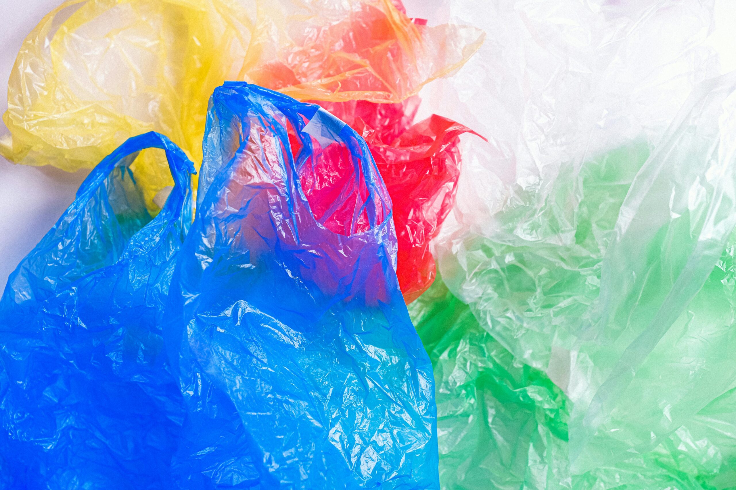 California says goodbye to plastic bags once and for all - Highlander