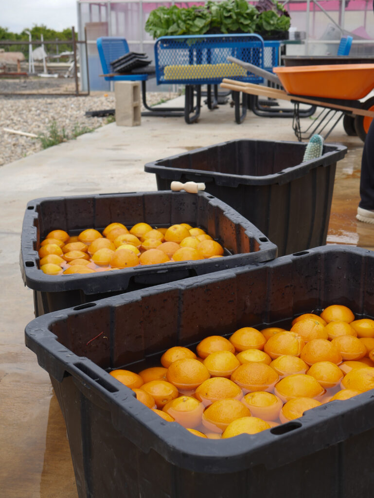 Op-ed: A case for the R’Garden Referendum - Highlander