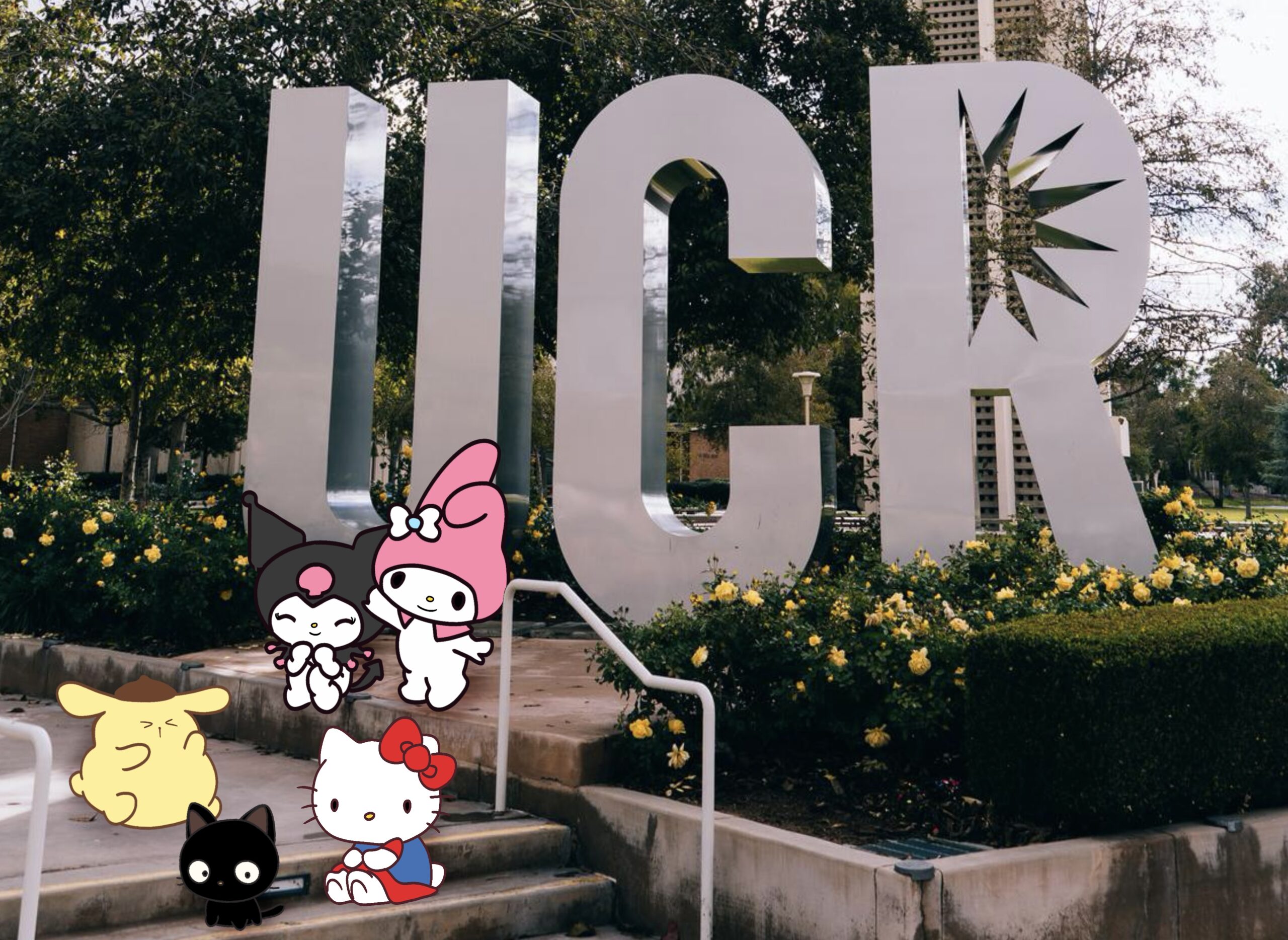 Who’s up, who’s down and what’s new in the 2025 Sanrio character ...