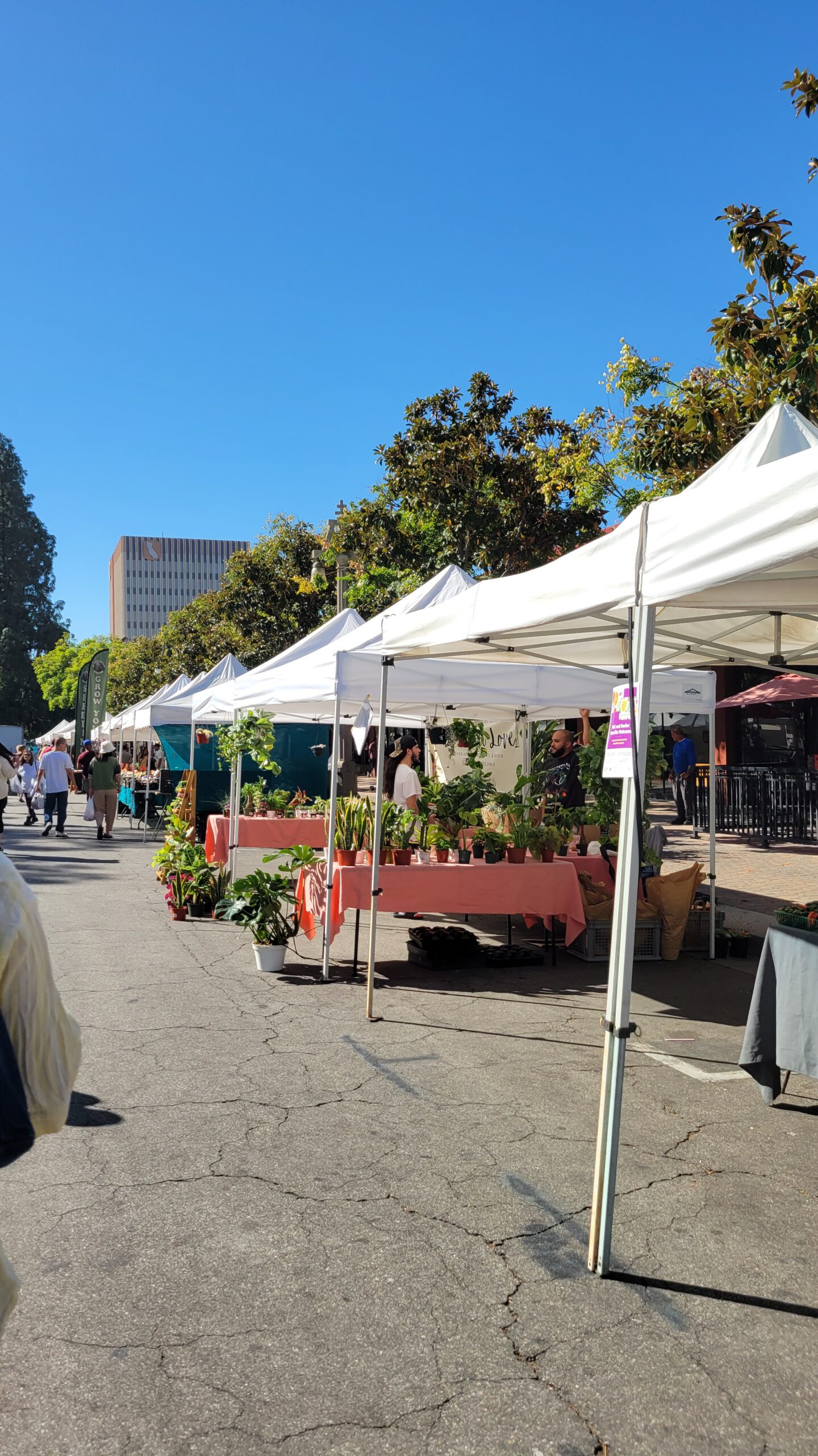 Downtown Riverside’s farmers market - The Highlander Newspaper